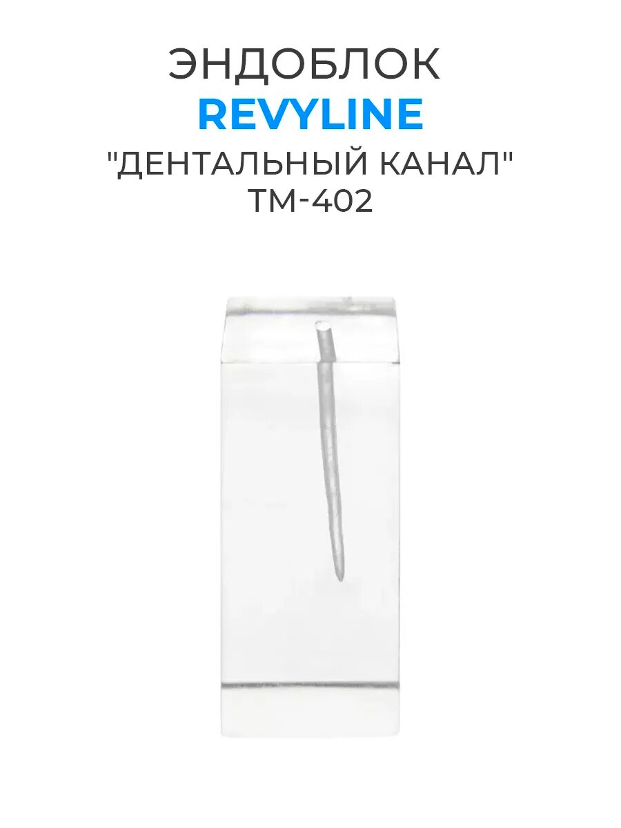 Эндоблок Revyline TM-402 "Дентальный Канал", ABS-пластик, прозрачный, для студентов-стоматологов