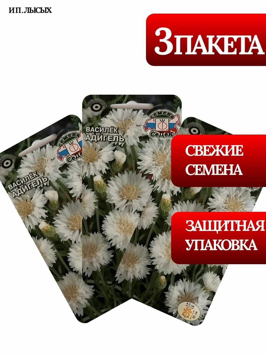 Семена Василек "Адигель"