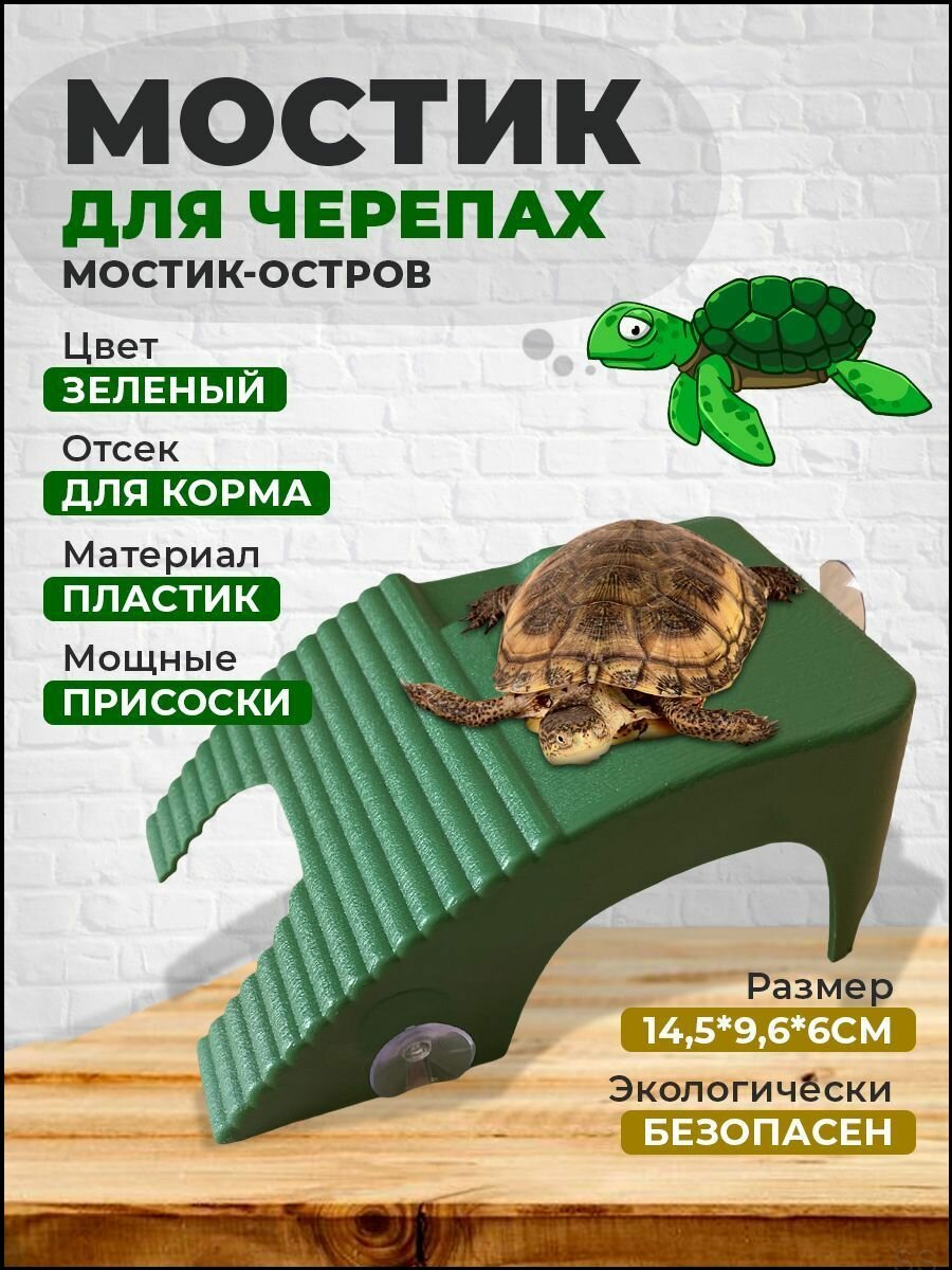 Мостик-остров для черепахи