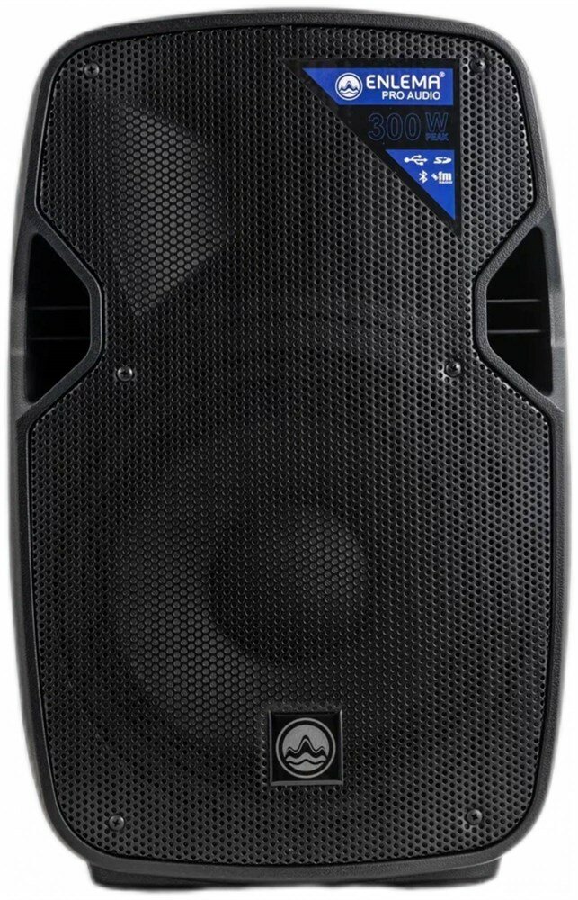ENLEMA APS 10 - Акустическая система активная