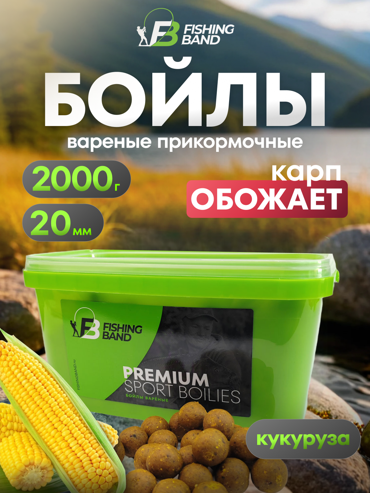 Бойлы FISHING BAND PREMIUM SPORT, для карпа и других рыб, тонущие, прикормочные, 2 кг
