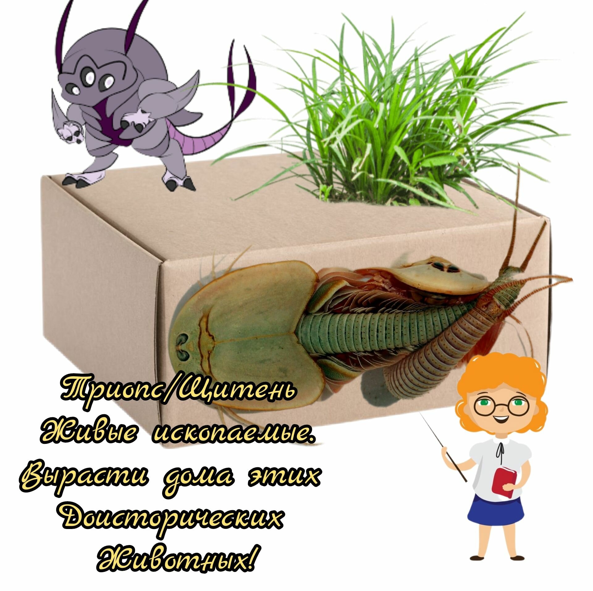 Обучающая игра