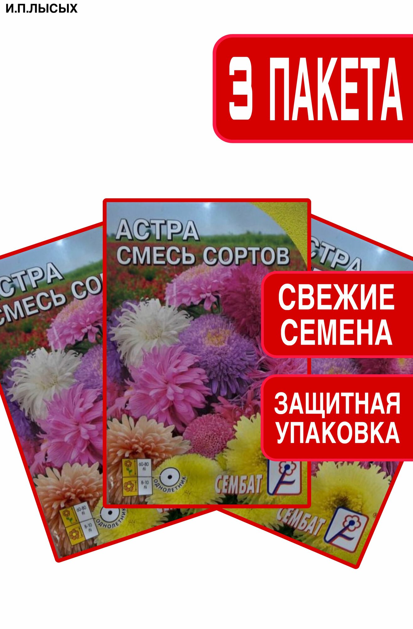 Семена Астра смесь сортов
