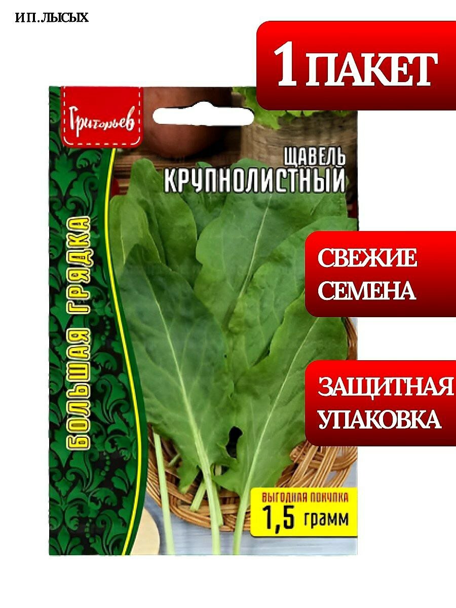 Семена Щавель "Крупнолистный"