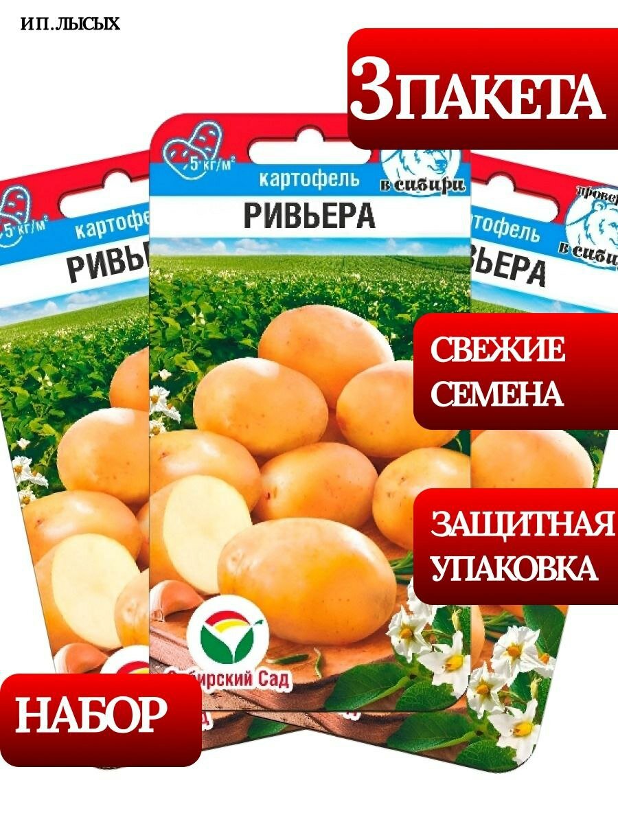 Семена Картофель "Ривьера"