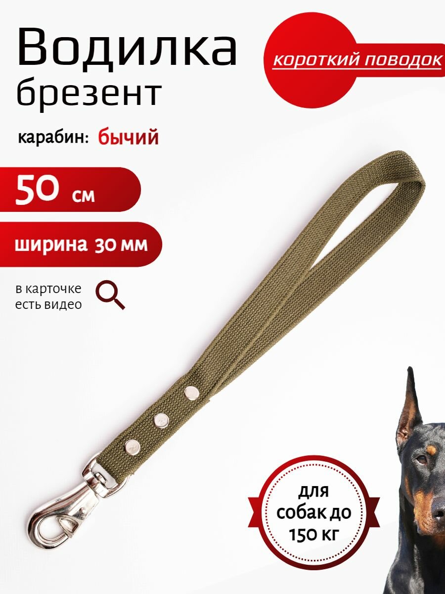 Мини-поводок для собак с бычьим карабином брезент 50 см х 30 мм (зеленый)