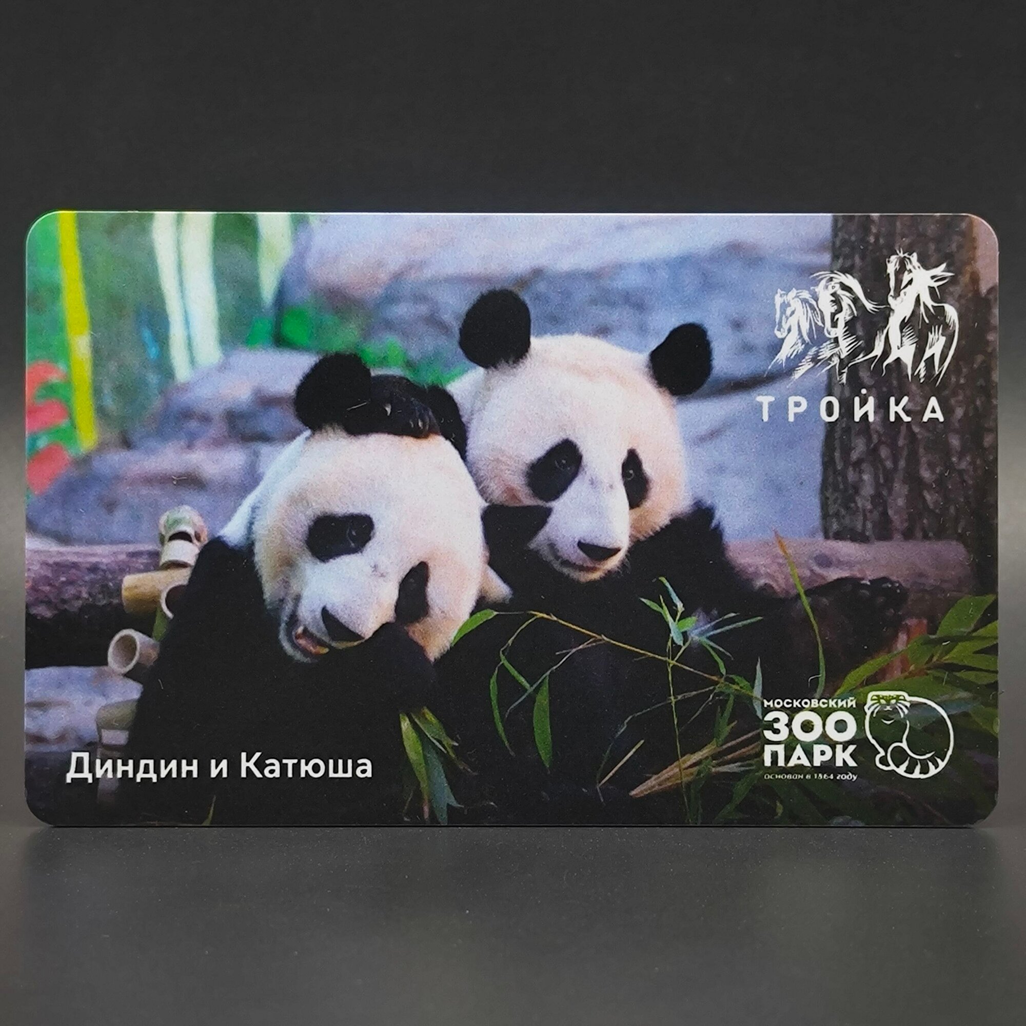 Транспортная карта Тройка коллекционная - Панды Катюша и Диндин. Московский зоопарк (вариант 7)