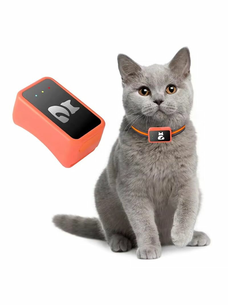 Воротники для кошек и собак, с дистанционным отслеживанием GPS, позиционированием домашних животных, водонепроницаемым