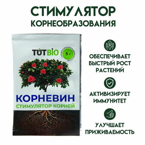 Стимулятор корнеобразования Корневин 5 г, область применения: для декоративно-лиственных комнатных растений, 11 шт.