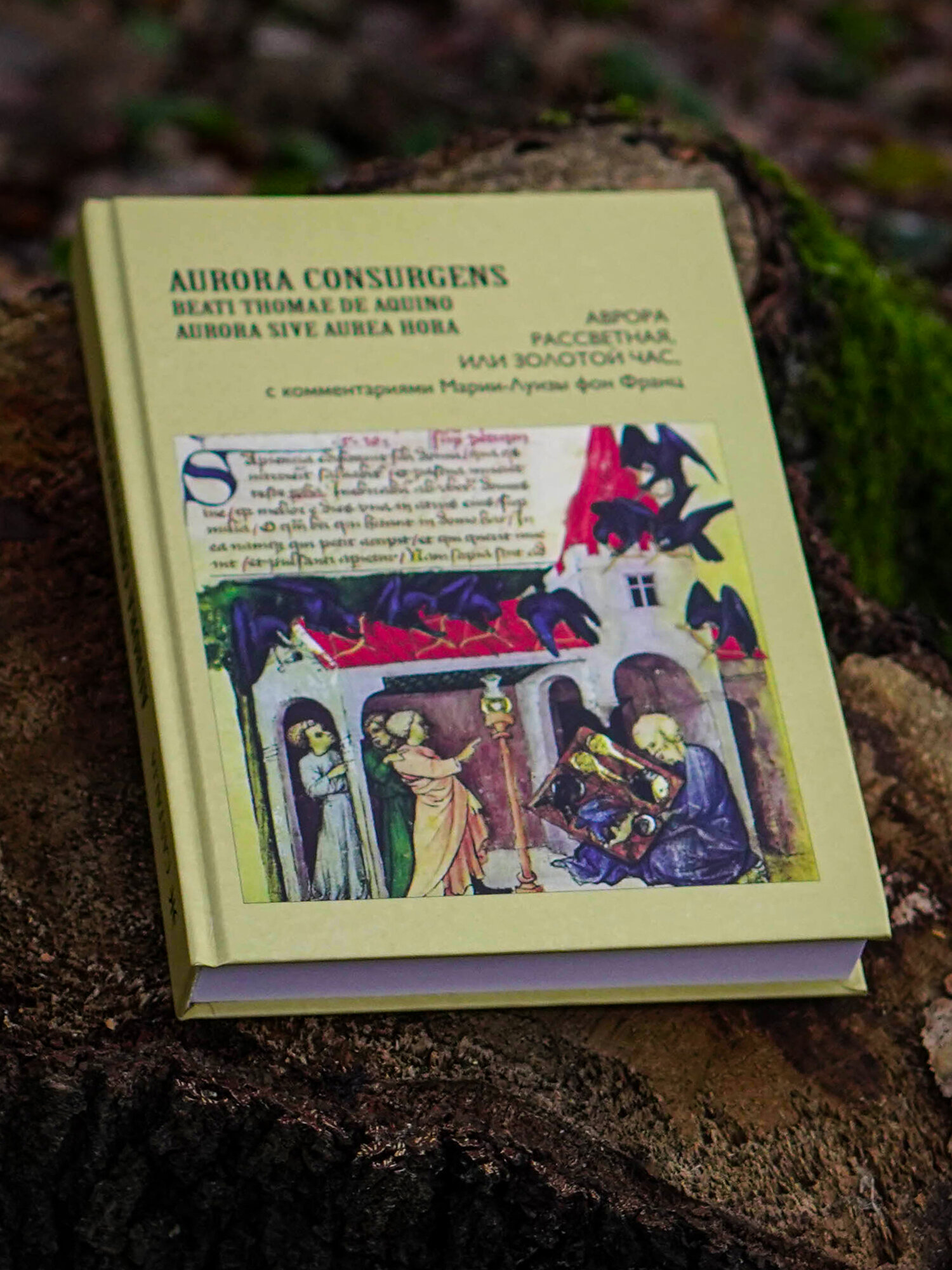 Аврора рассветная. С комментариями Марии-Луизы фон Франц