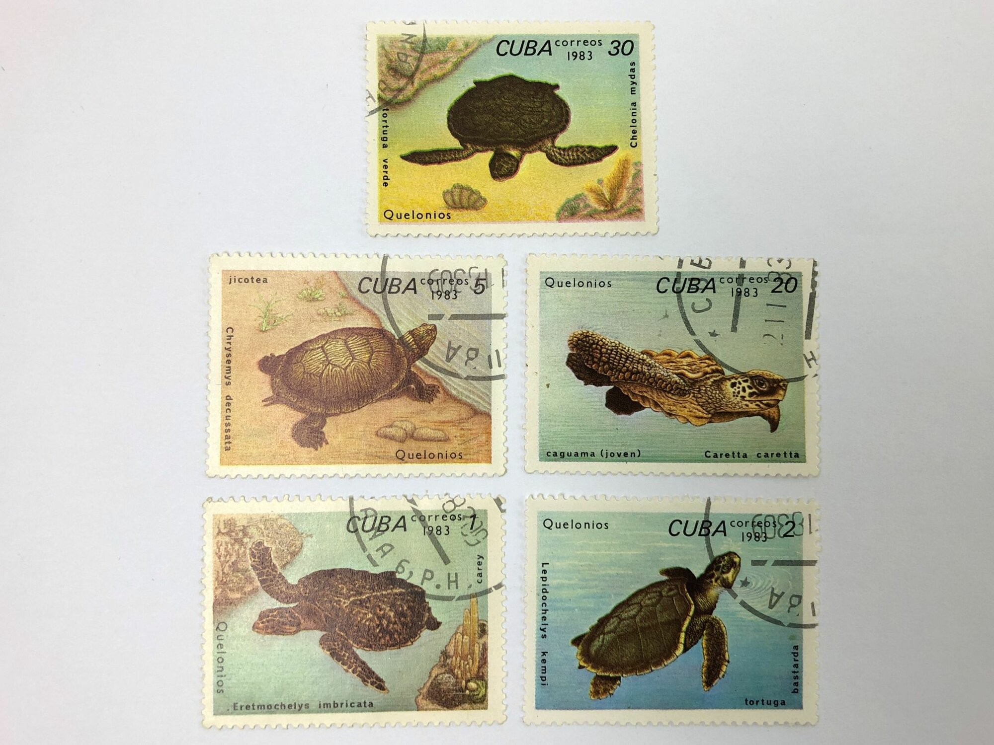 Черепахи. Неполная серия. Фауна. Куба. 1983. Михель: CU 2766-2770. Гашен