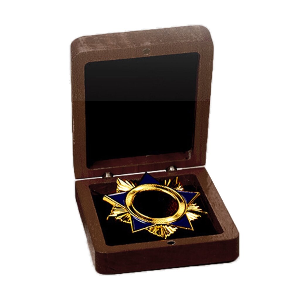 Элегантный футляр для медалей, деревянный контейнер для значков, портативный футляр для памятных монет, органайзер для украшений