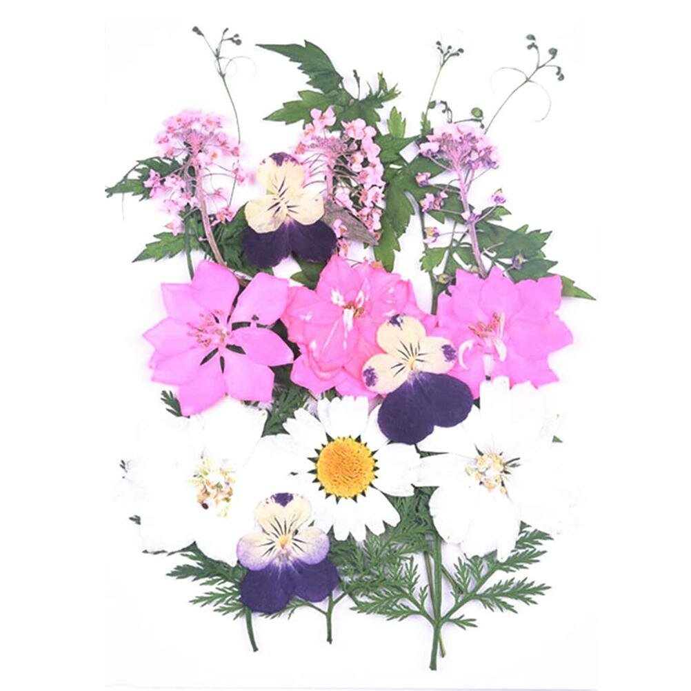 Прозрачные закладки из сухоцветов, домашние красивые закладки с цветами, сделай сам, закладка из сухоцветов, зажимы для страниц с цветами, закладки