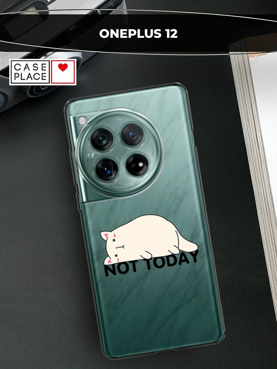 Чехол на OnePlus 12 / Ван Плас 12 с принтом "Cat not today", прозрачный