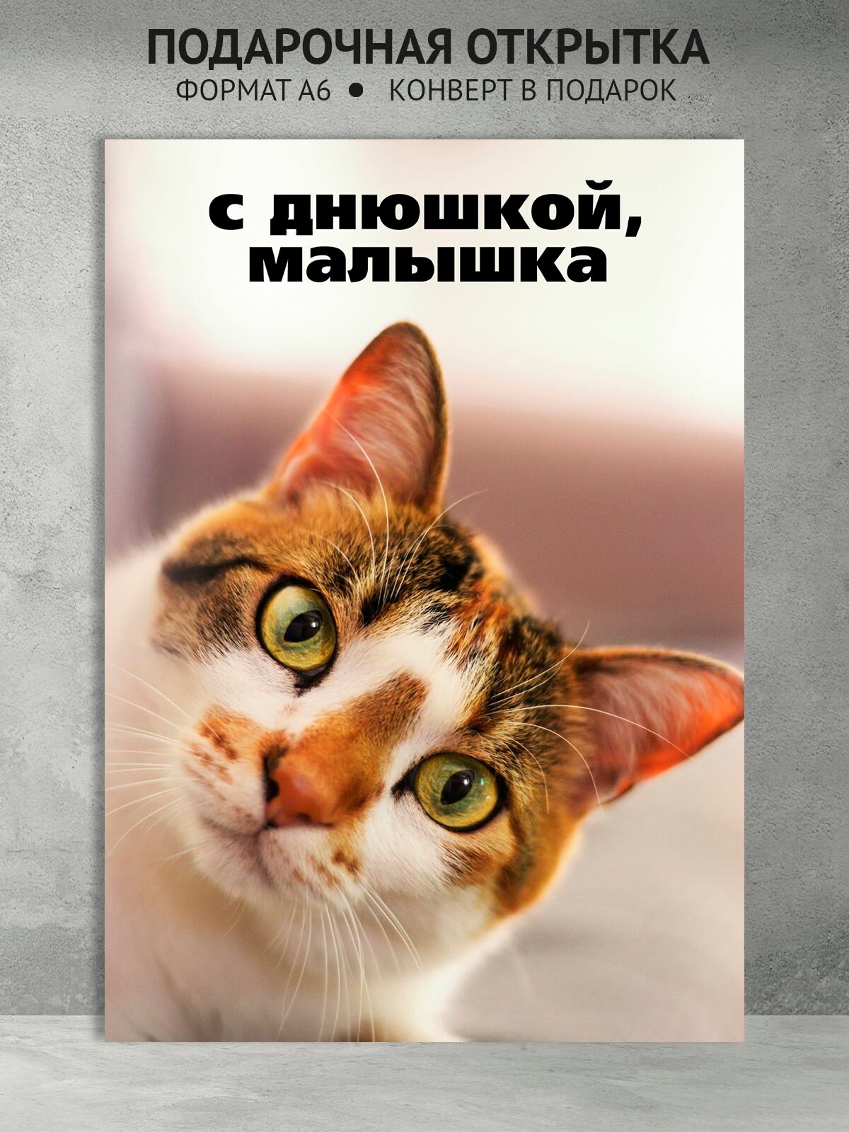 Подарочная открытка с уникальной иллюстрацией котик "С днюшкой, малышка" с днем рождения, с юбилеем