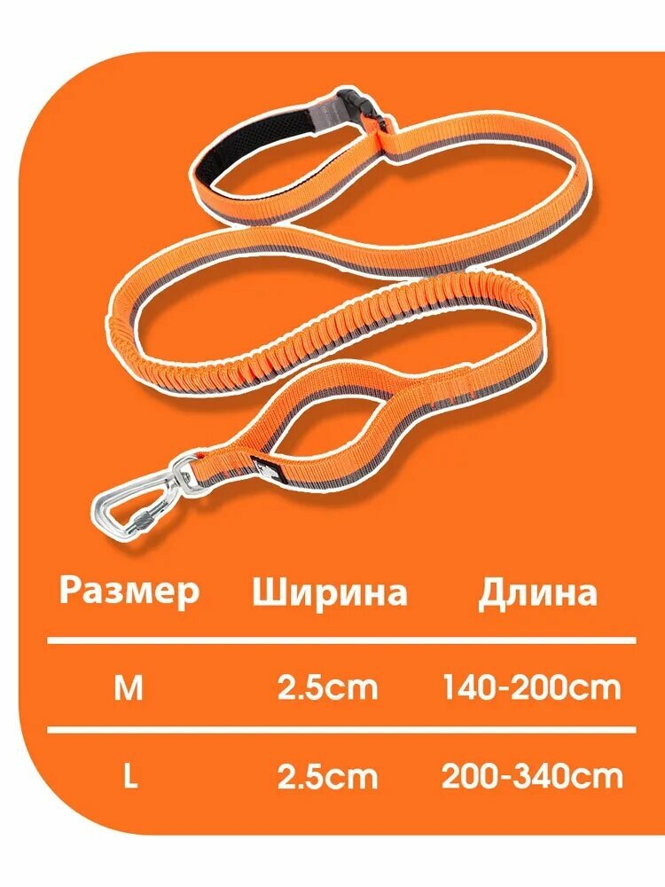 Поводок для собак Truelove выдвижной регулируемый светоотражающий нейлон без рук с прочным карабином для бега трусцой