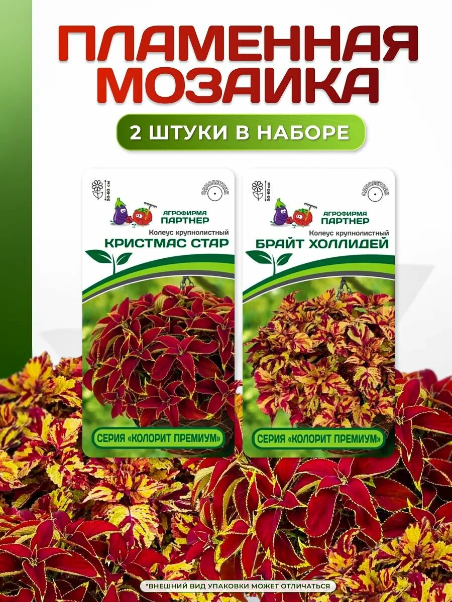 Семена комнатных цветов колеус: Пламенная мозаика