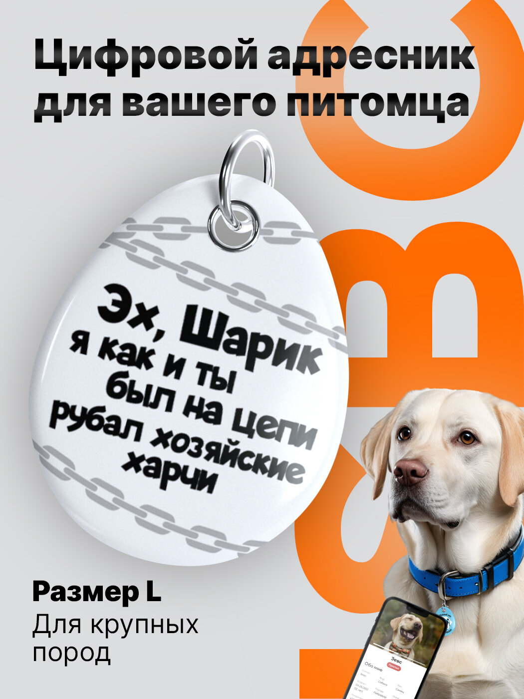 Адресник для собак средних и крупных пород от ISBC с NFC и QR-кодом, Шарик
