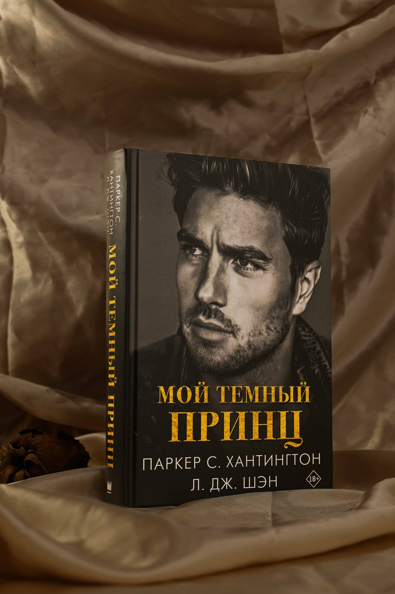 Мой темный принц — фото 1