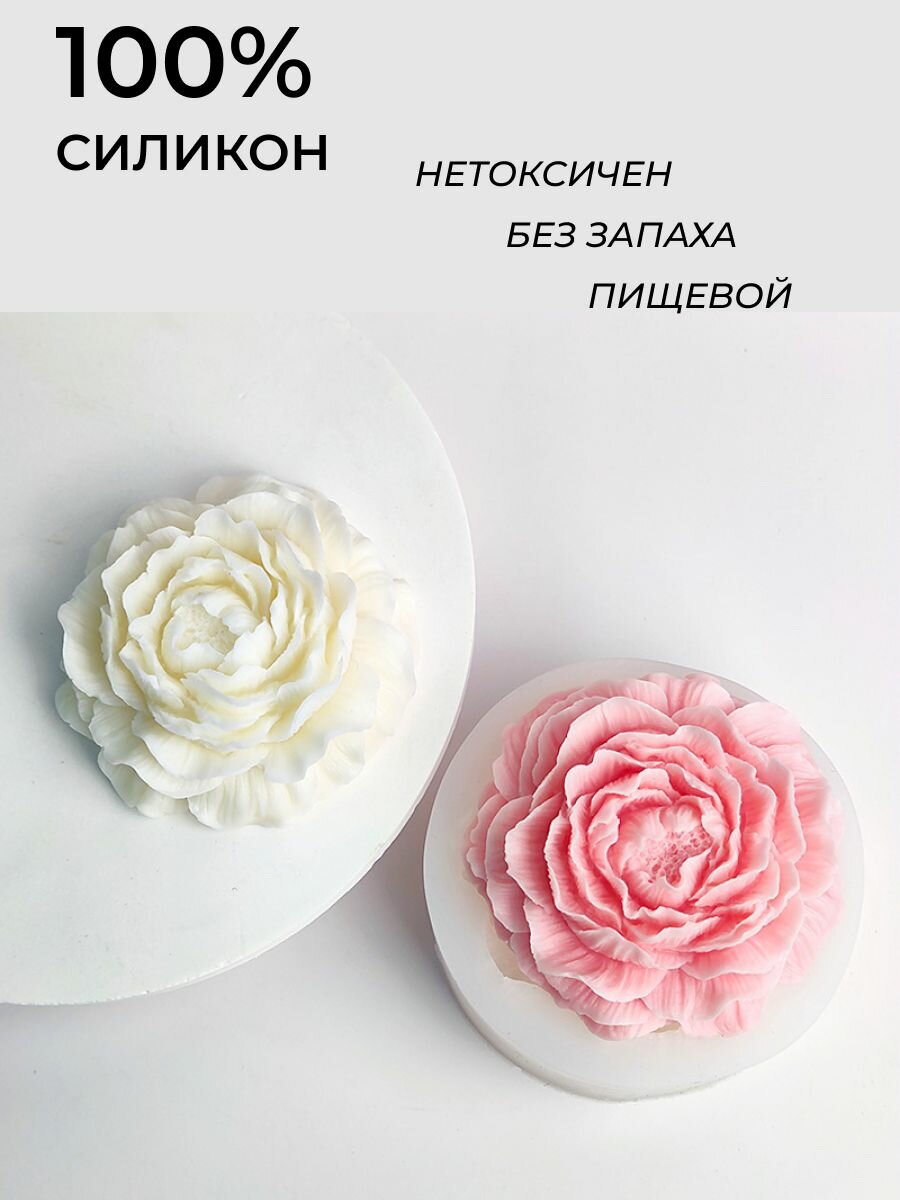 Молд — фото 1