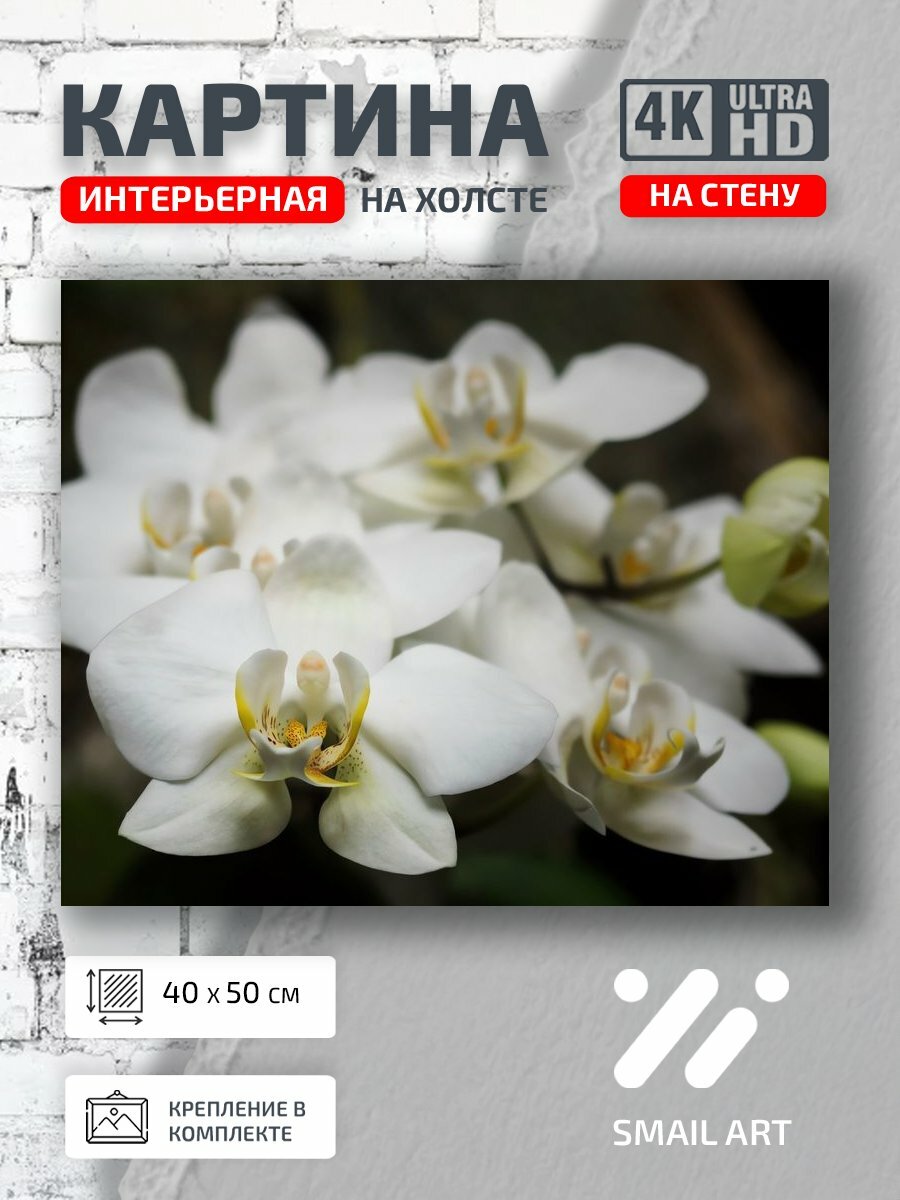 Картина на холсте интерьерная 40 на 50 на стену Орхидеи Mood для гостиной атмосфера декор