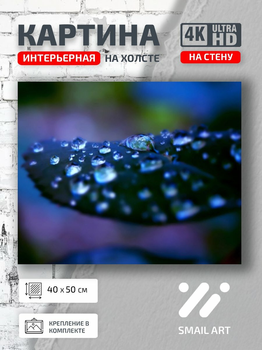 Картина на холсте интерьерная 40 на 50 на стену Росы Landscape для офиса пейзаж интерьер