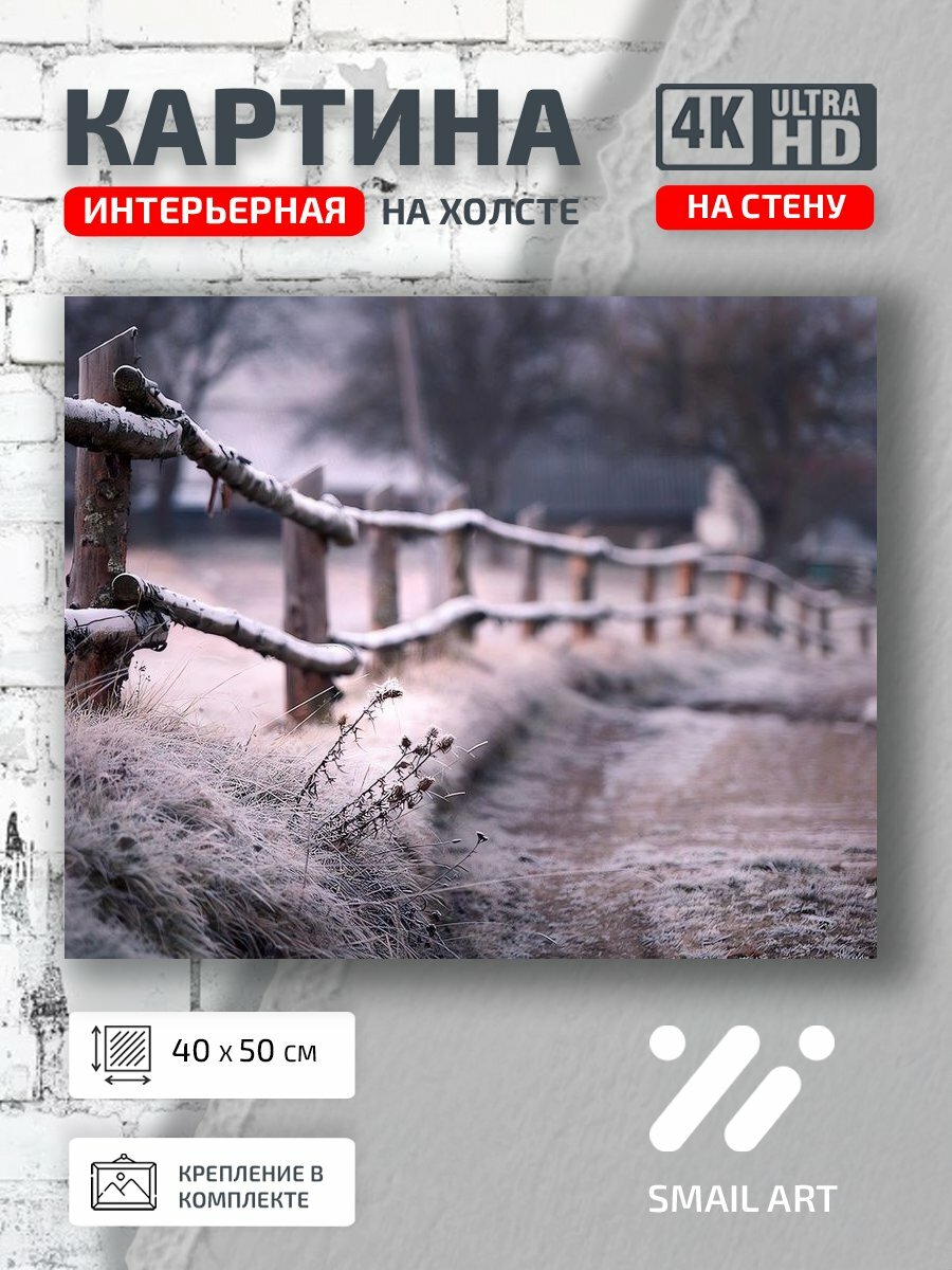 Картина на холсте интерьерная 40 на 50 на стену Иней fence для кафе пейзаж интерьер декор