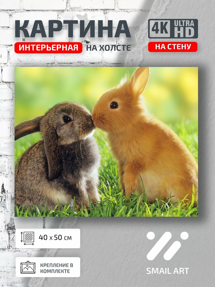 Картина на холсте интерьерная 40 на 50 на стену Трава Mood для офиса атмосфера интерьер