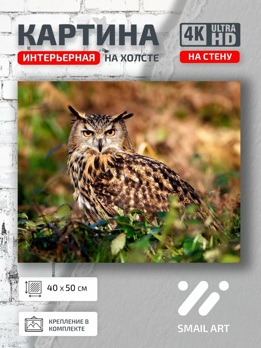 Картина на холсте интерьерная 40 на 50 на стену Филин Mood для офиса атмосфера интерьер