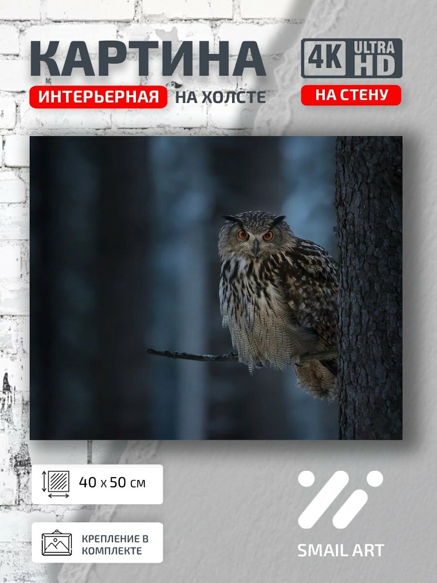 Картина на холсте интерьерная 40 на 50 на стену Птицы Сова для кабинета атмосфера