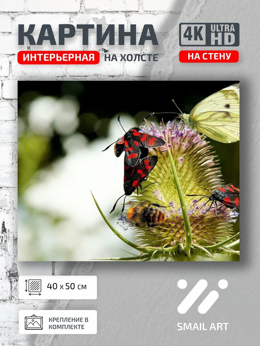 Картина на холсте интерьерная 40 на 50 на стену Насекомое Landscape для спальни пейзаж