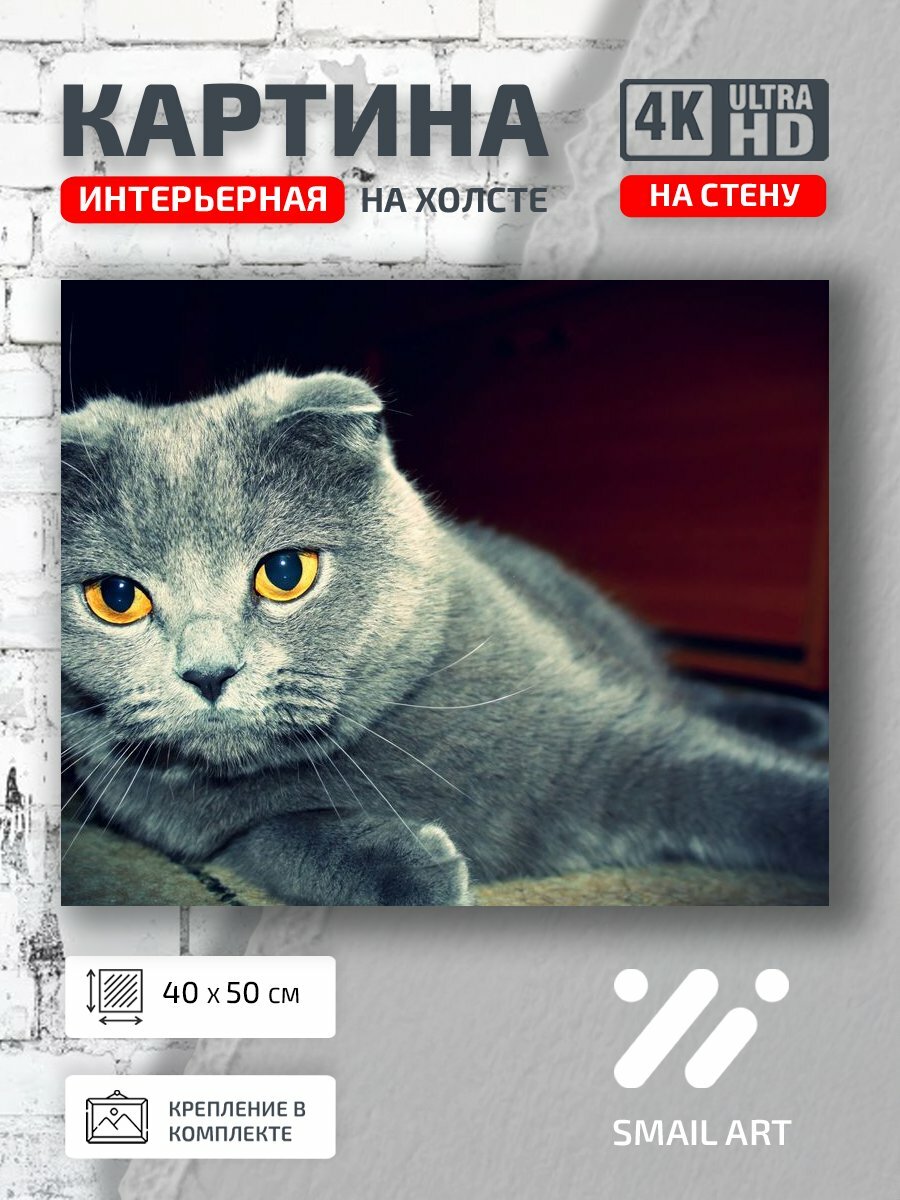 Картина на холсте интерьерная 40 на 50 на стену Глаза Animal для кафе animal style интерьер