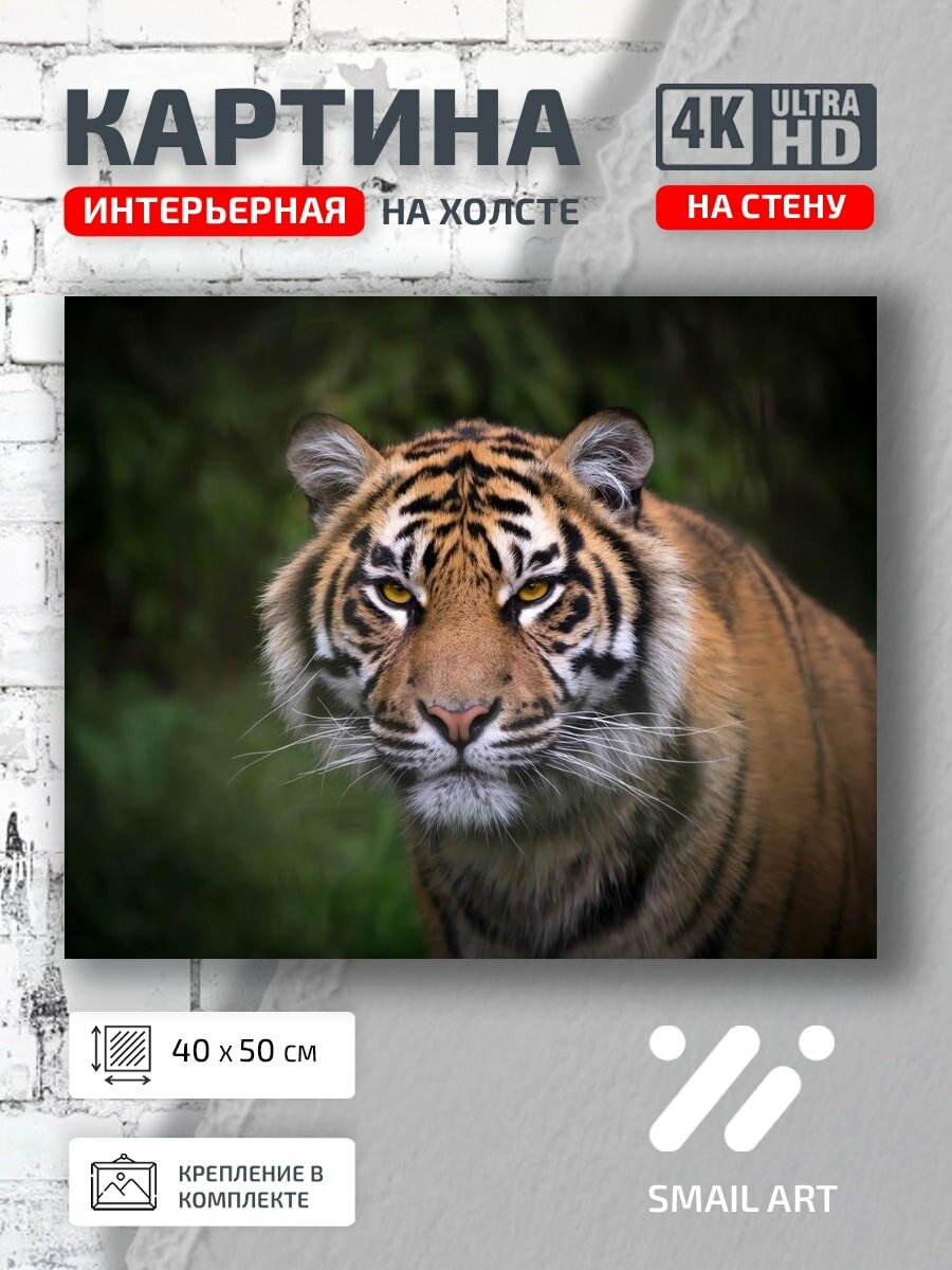 Картина на холсте интерьерная 40 на 50 на стену Животные Тигр для кабинета атмосфера