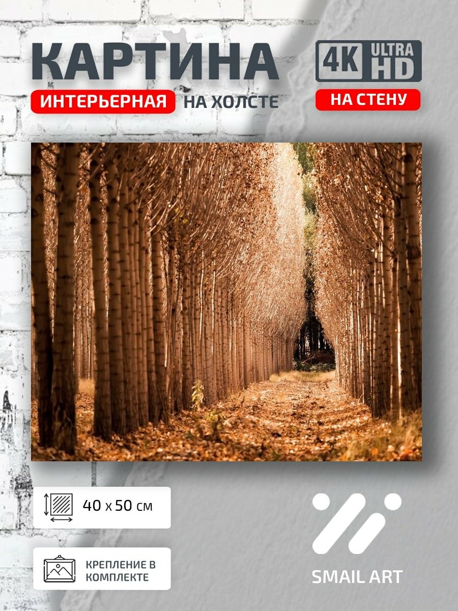 Картина на холсте интерьерная 40 на 50 на стену осень деревья для кабинета пейзаж