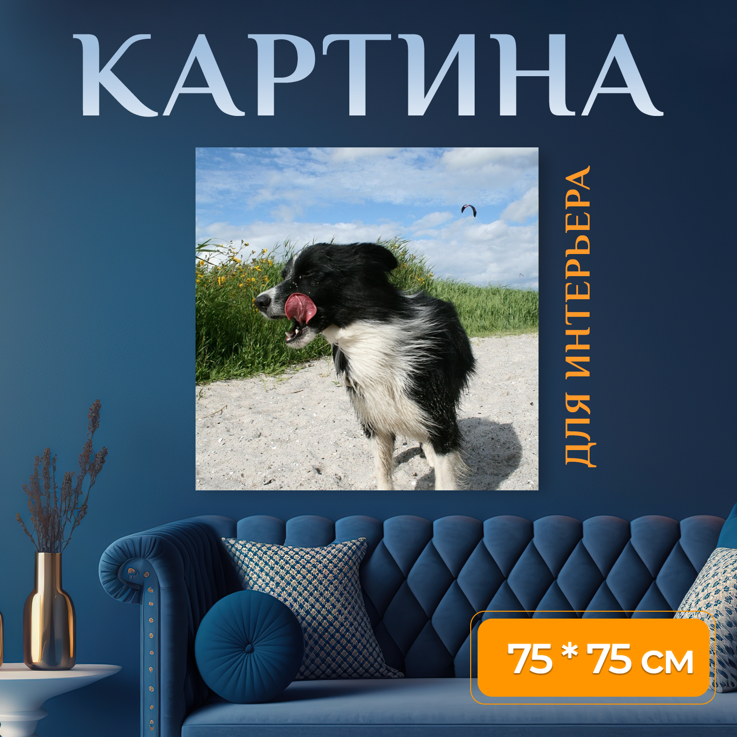 Картина на холсте "Бордер колли, собака, пляж" на подрамнике 75х75 см. для интерьера