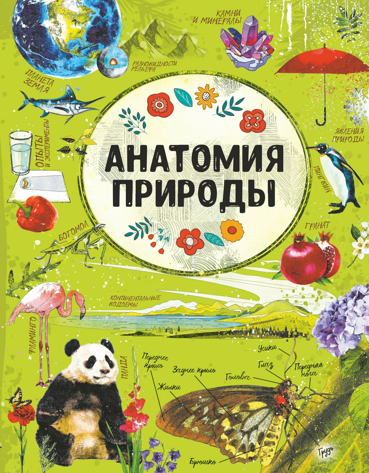 Книга: "Анатомия природы" от Спектор А, русский язык, Естественные науки