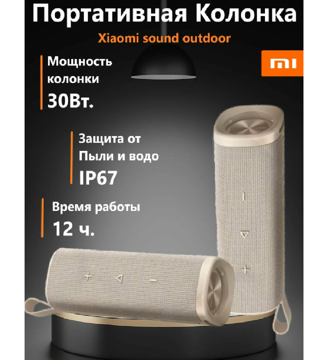 Портативная колонка Xiaomi Sound Outdoor, встроенный микрофон, мощность до 30Вт, 12ч работы, золотистая