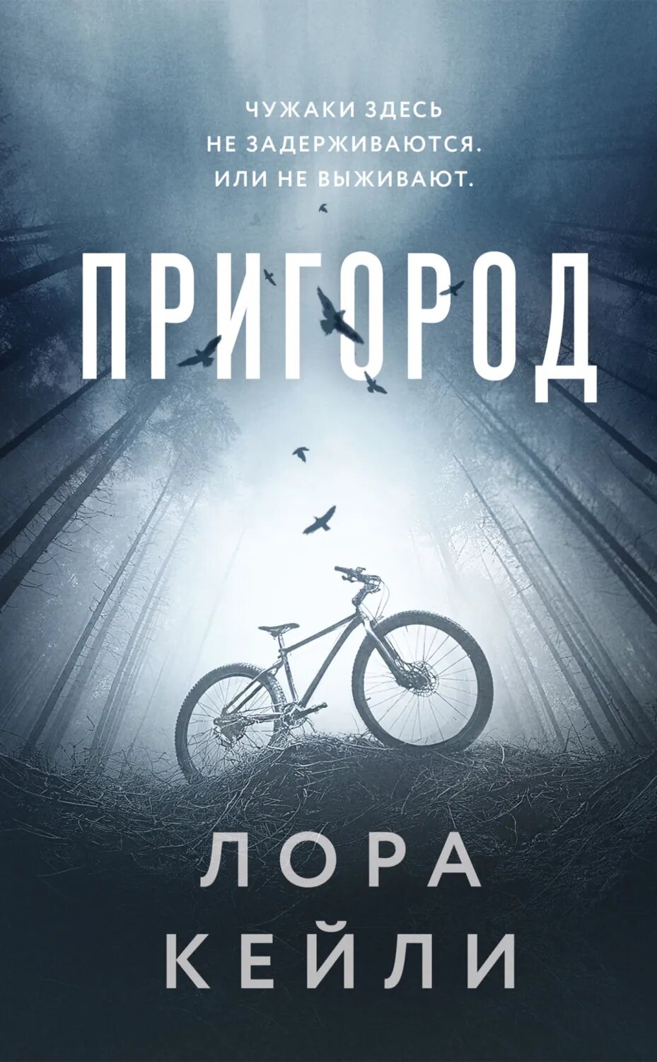 Пригород [Цифровая книга]