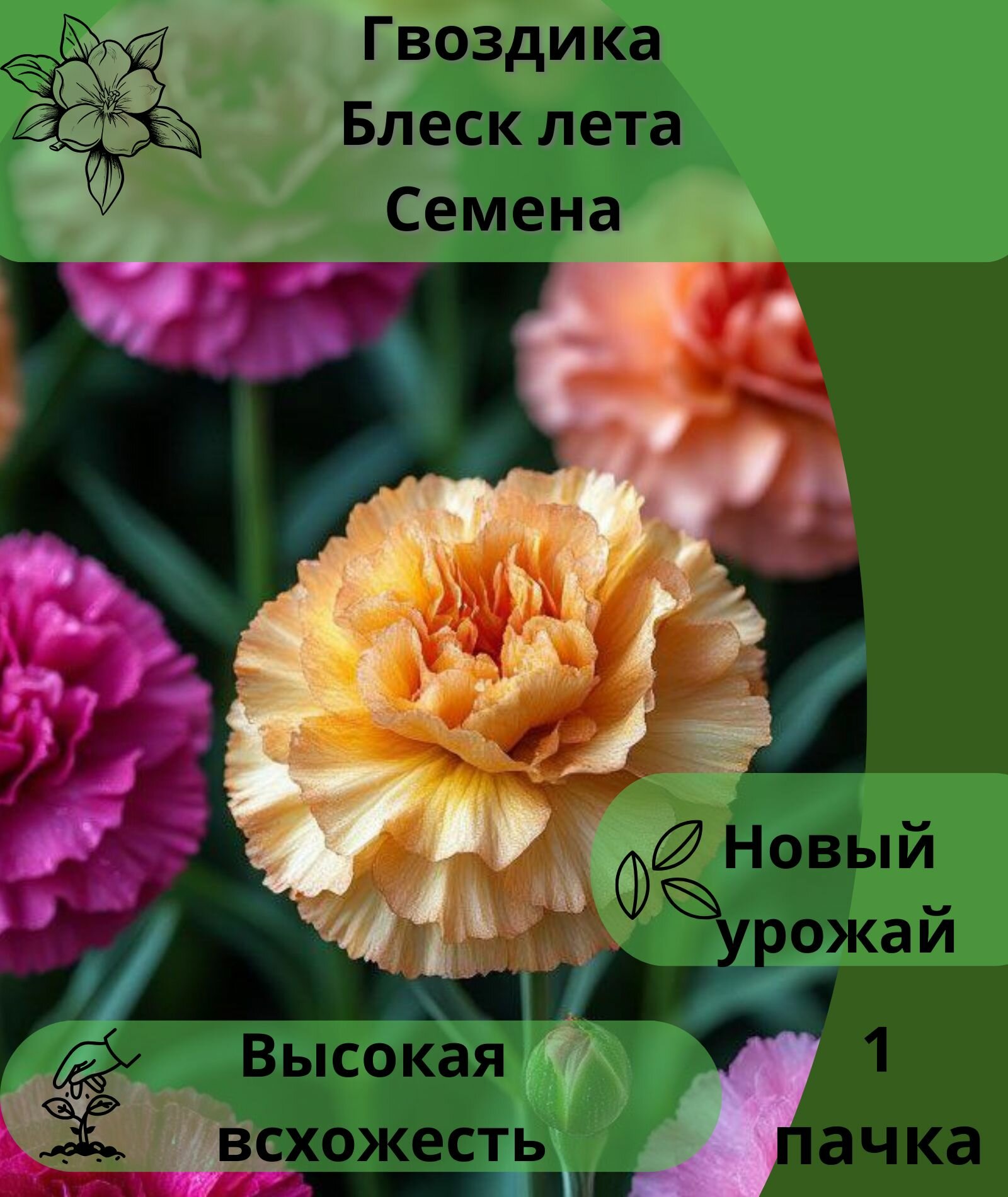 Гвоздика Блеск лета, семена 10шт