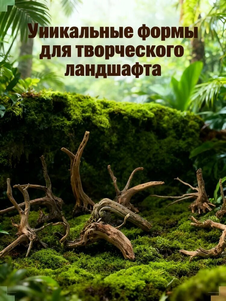 Натуральная коряга для аквариума 15-20 см*1