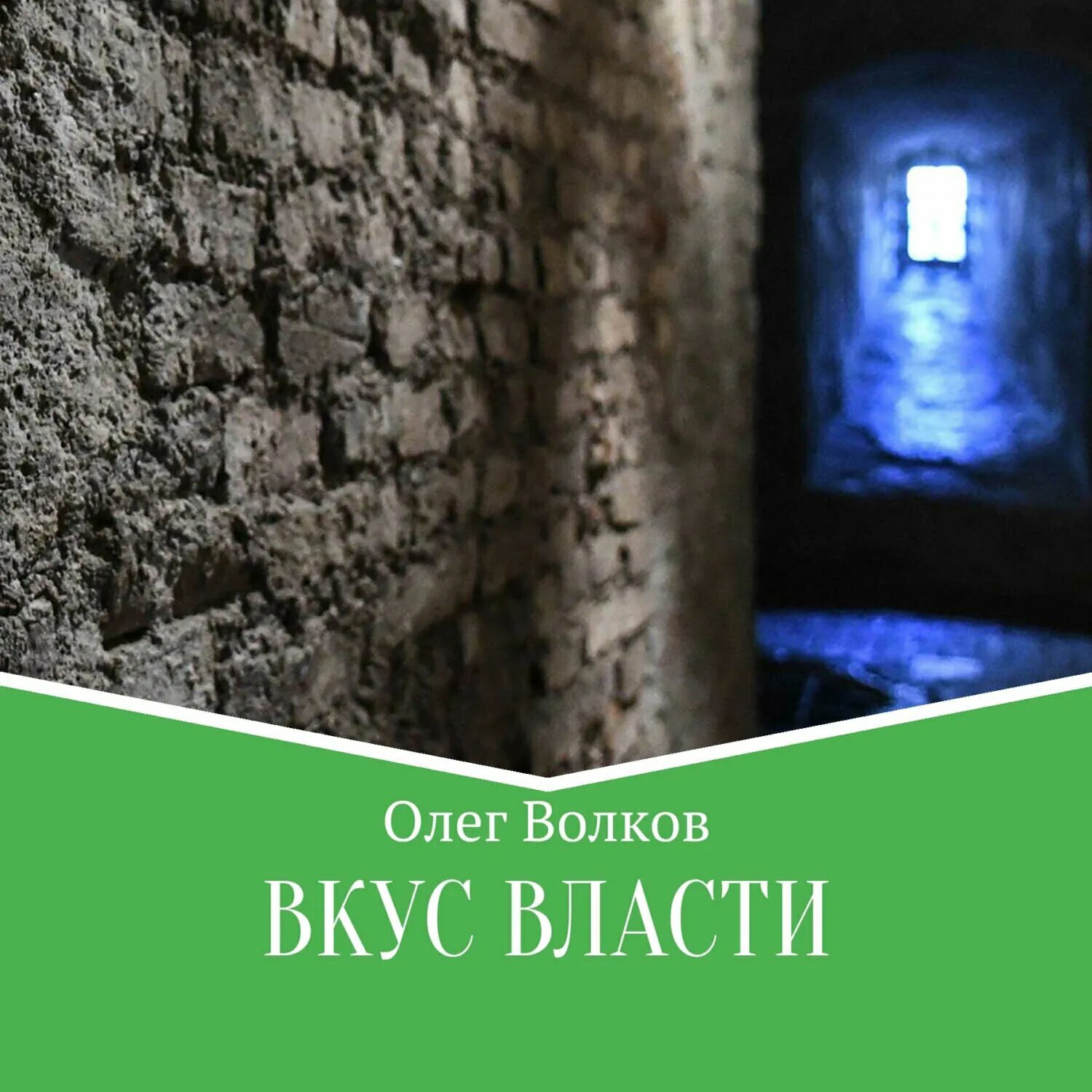 Вкус власти [Аудиокнига]