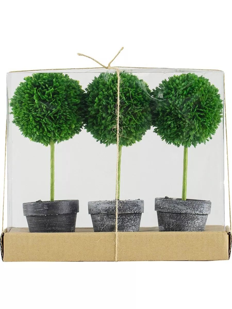 Растения декоративные Glasar Самшит, набор 3 предмета 27х9х24 см