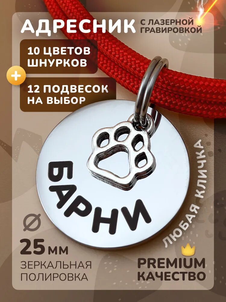 Адресник для собак с гравировкой, регулируемым шнурком и подвеской, круглый 25мм, нержавеющая сталь, Anymeow