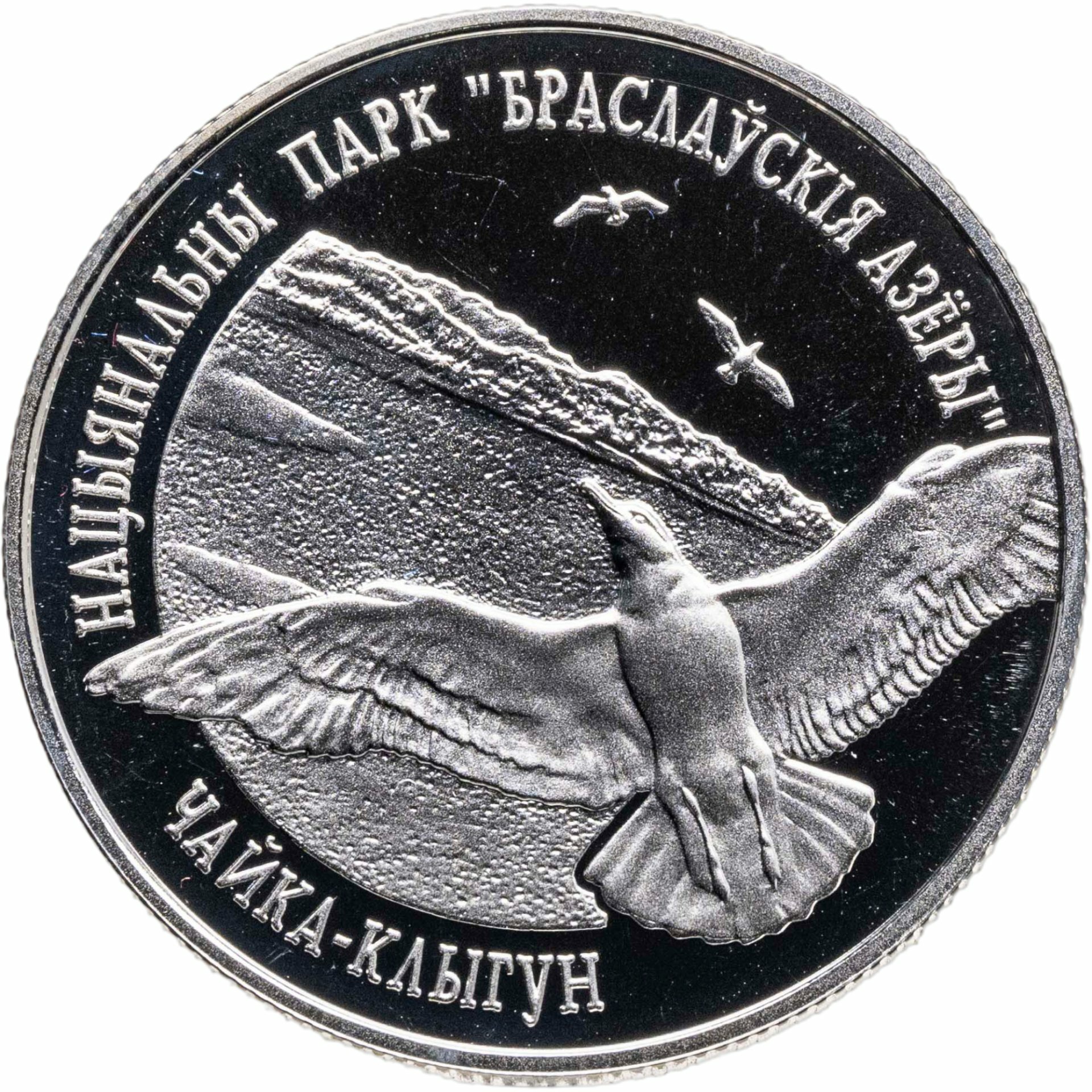 Беларусь 1 рубль 2003 Национальный парк "Браславские озера" - Чайка серебристая, Мельхиор медь-никель, в сохранности Proof