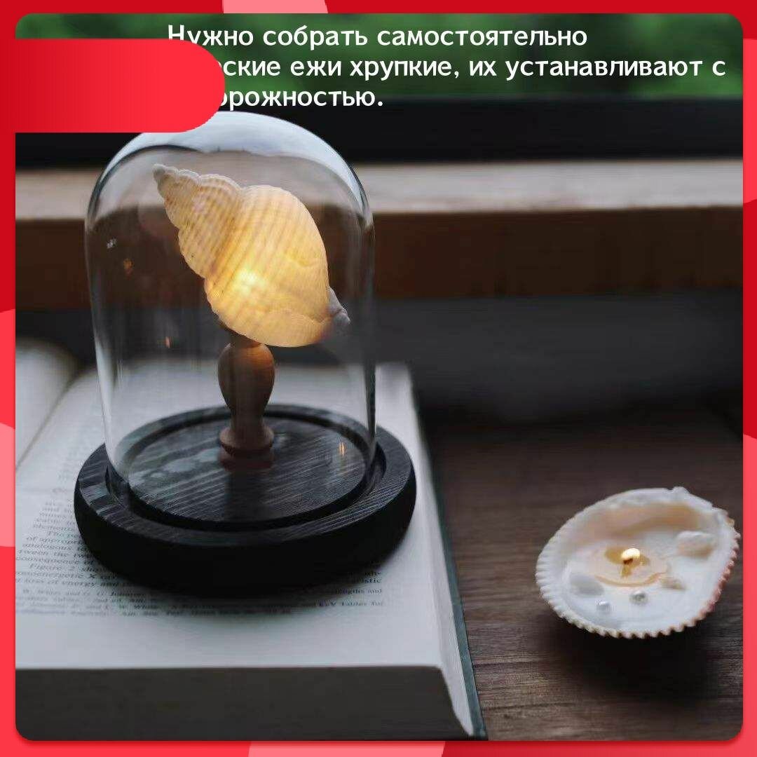 Эксклюзивный ночник из раковины морского ежа, декоративный подарок