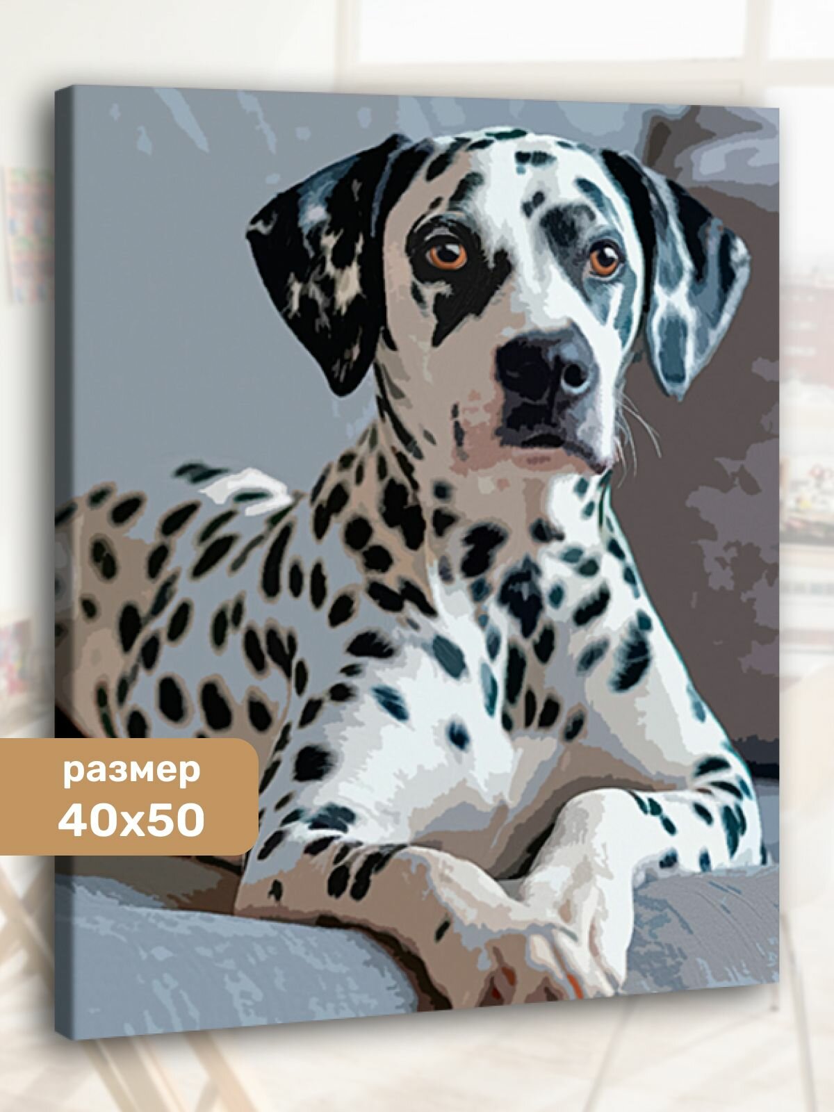 Картина по номерам на холсте и подрамнике Далматин