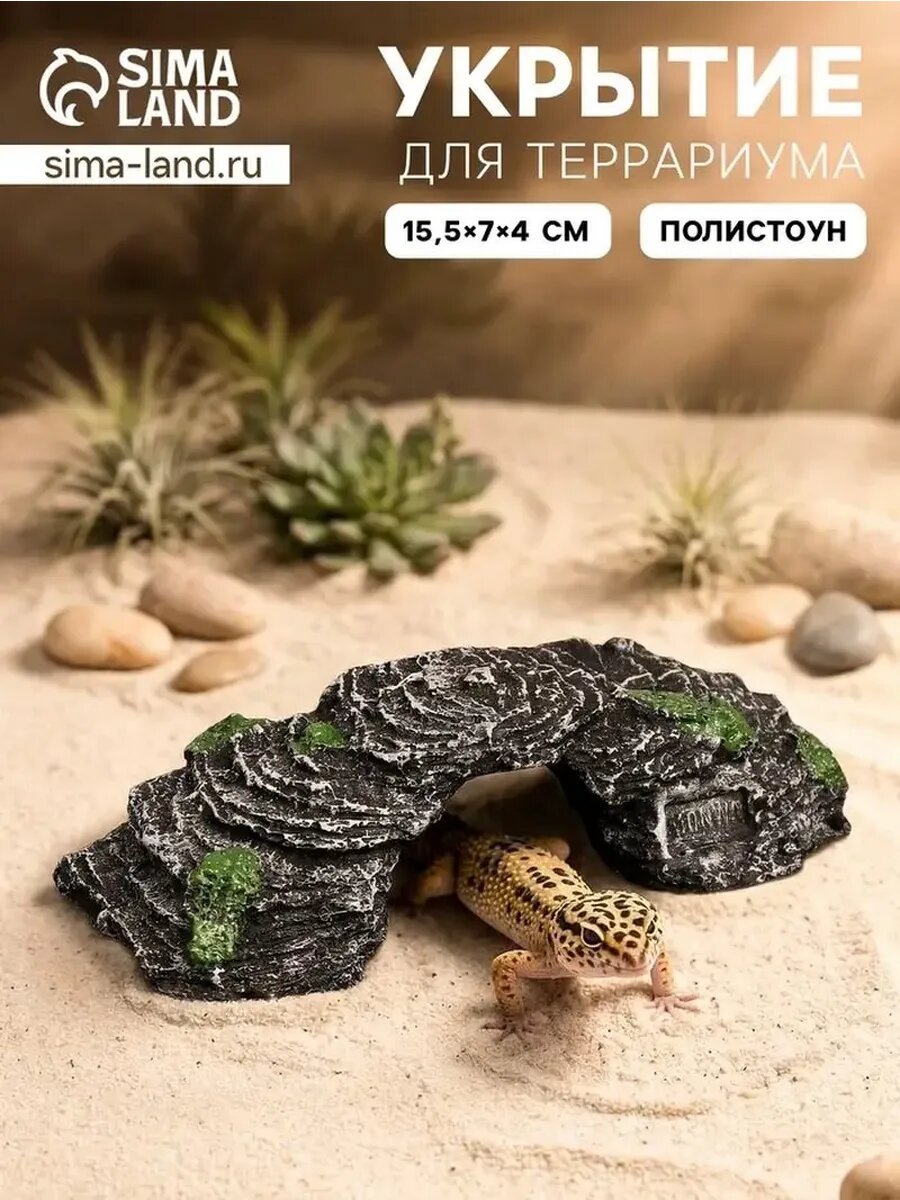 Природное укрытие для террариума