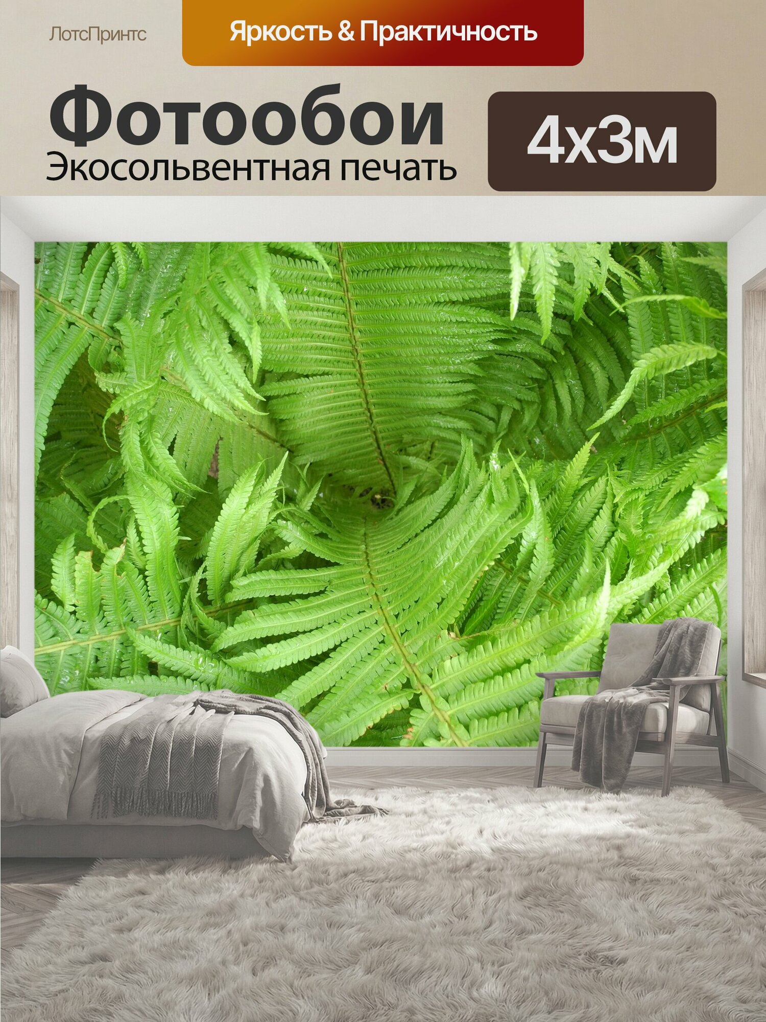 Фотообои "Папоротник, зеленый, растение" 400x300 см. экосольвентная печать
