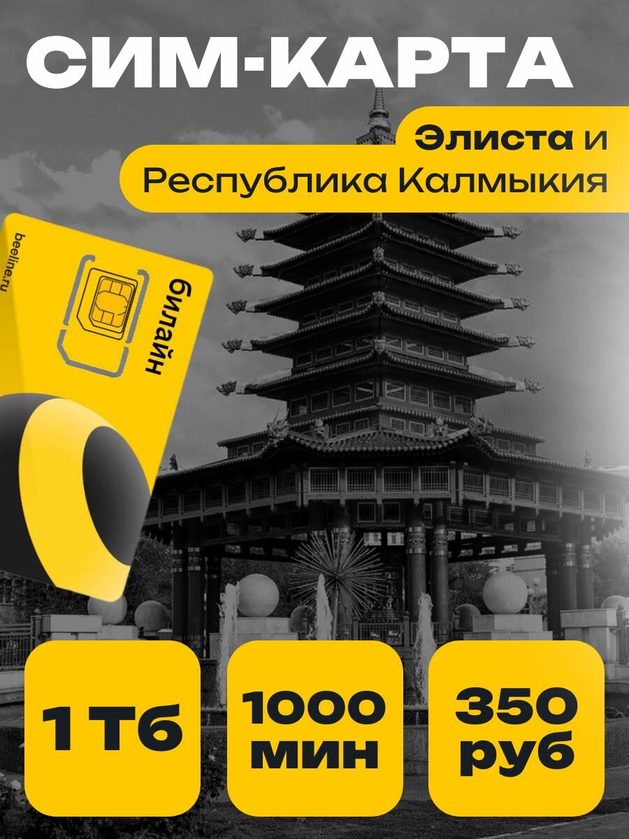 Сим-карта Билайн тариф Эксклюзивный Плюс Республика Калмыкия 1000 Гб + 1000 минут за 350 руб.