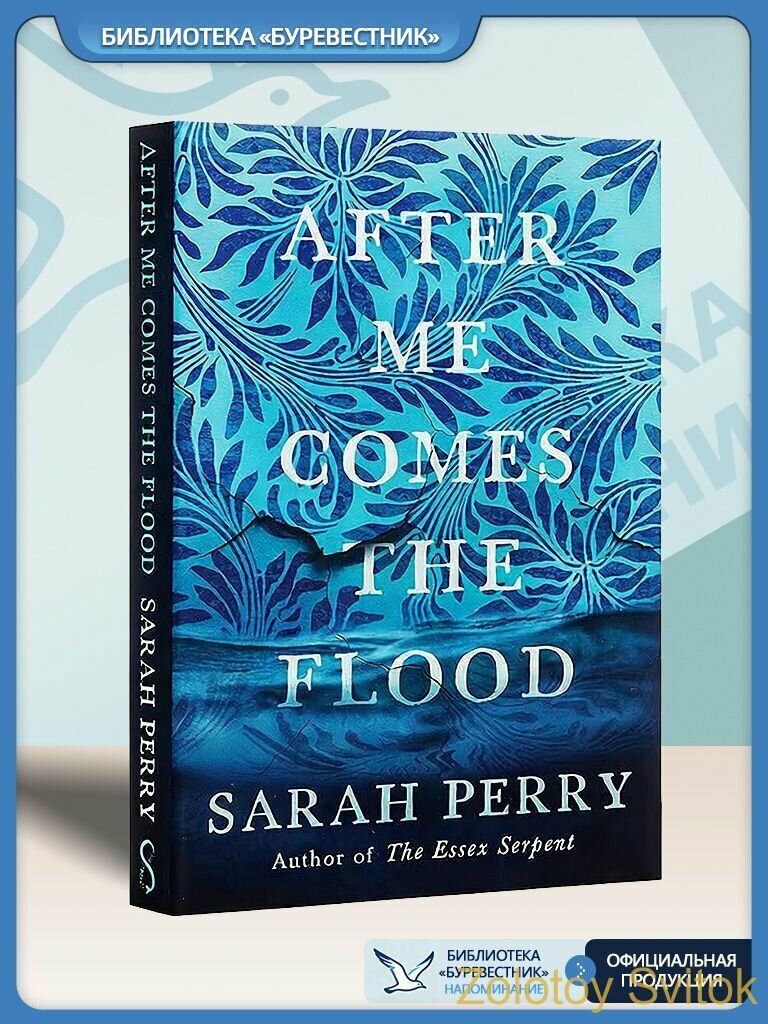 Книга Sarah Perry "After Me Comes The Flood", мистика, английский язык,